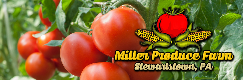 Miller's Produce, Stewartstown, PA - CSA